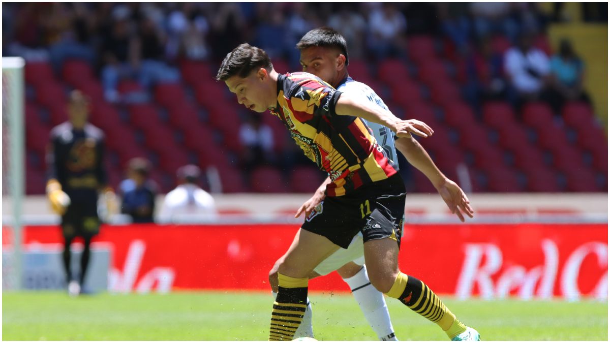 Boletos final Liga Expansión MX: Jaiba Brava vs Leones Negros, precios ...