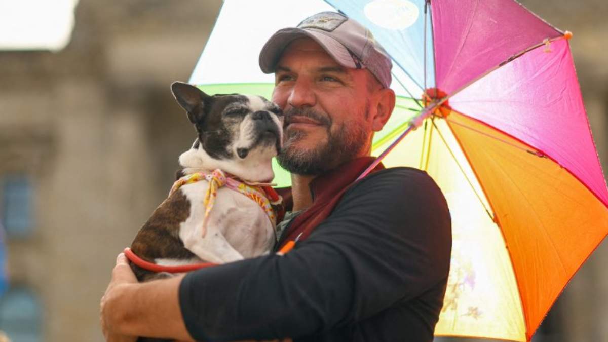 Día Mundial del perro: ¿Por qué deberías de tener un ‘lomito’ en tu ...