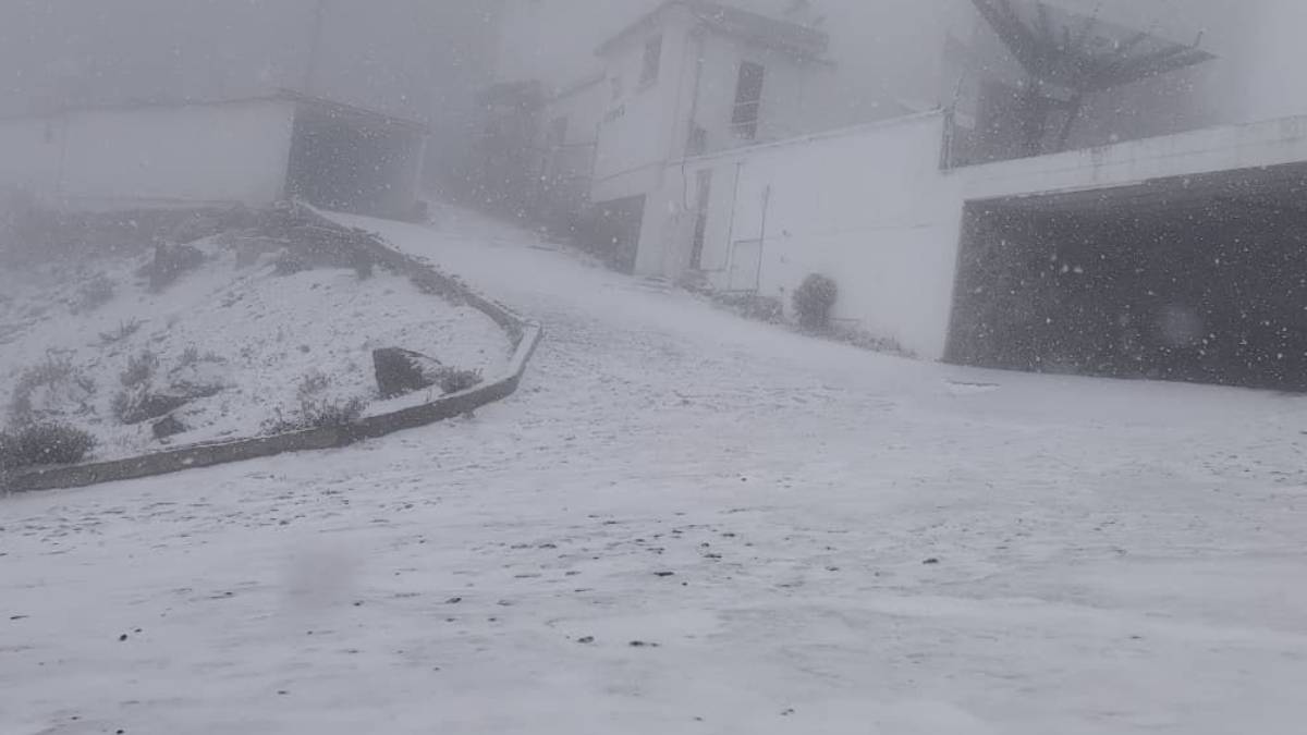 Paisaje invernal: así luce el Cofre de Perote tras la primera nevada ...