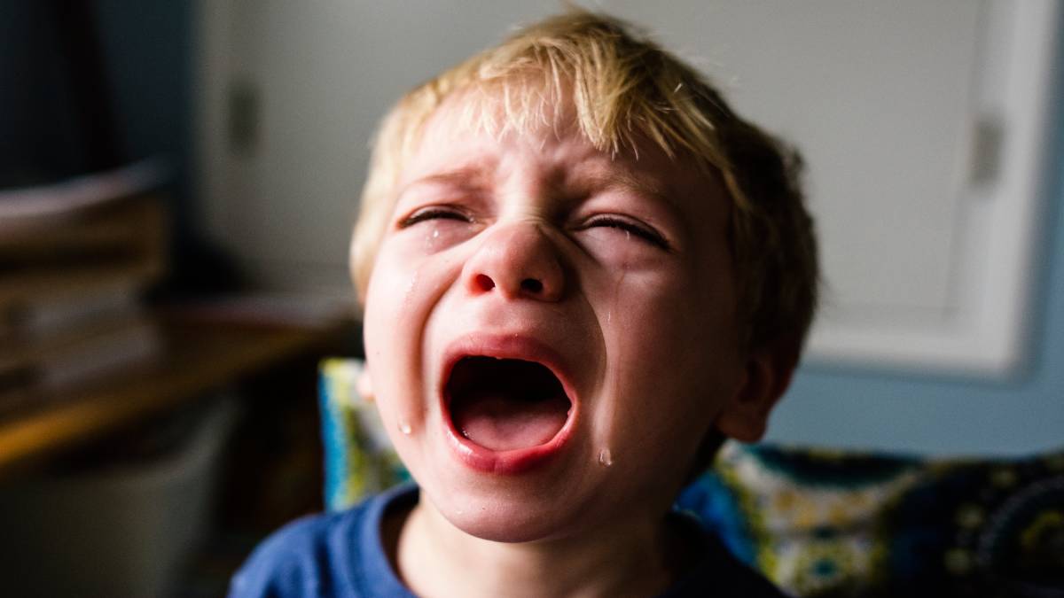 Neurotips: Ejercicio para manejar el berrinche de un niño, sin perder ...