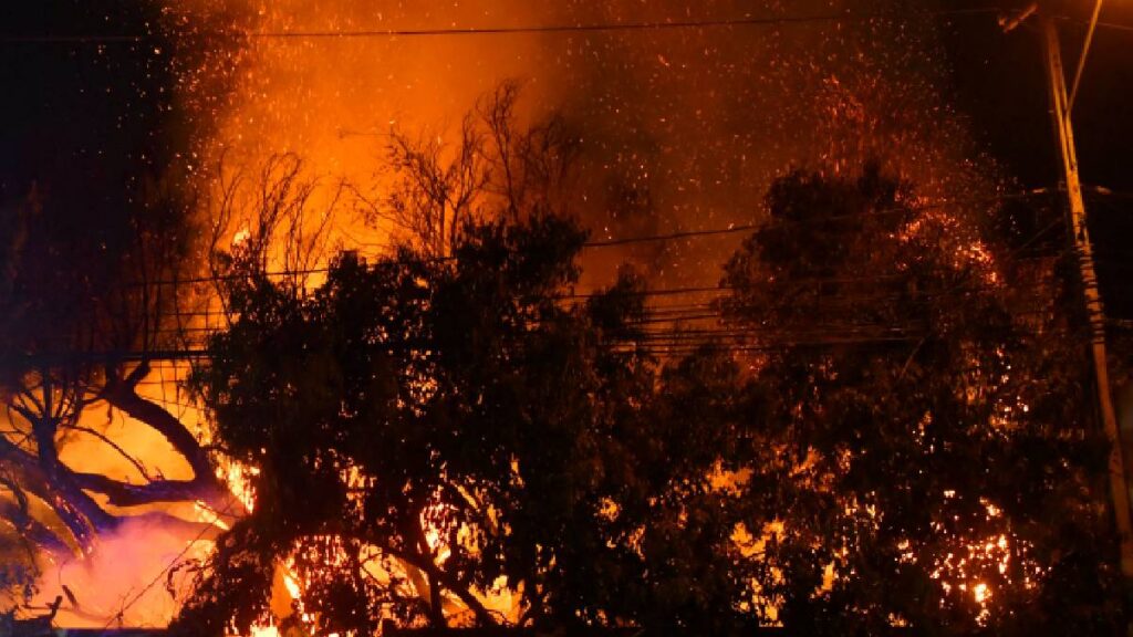 Incendio forestal en Patagonia deja 3 mil 500 hectáreas calcinadas - UnoTV