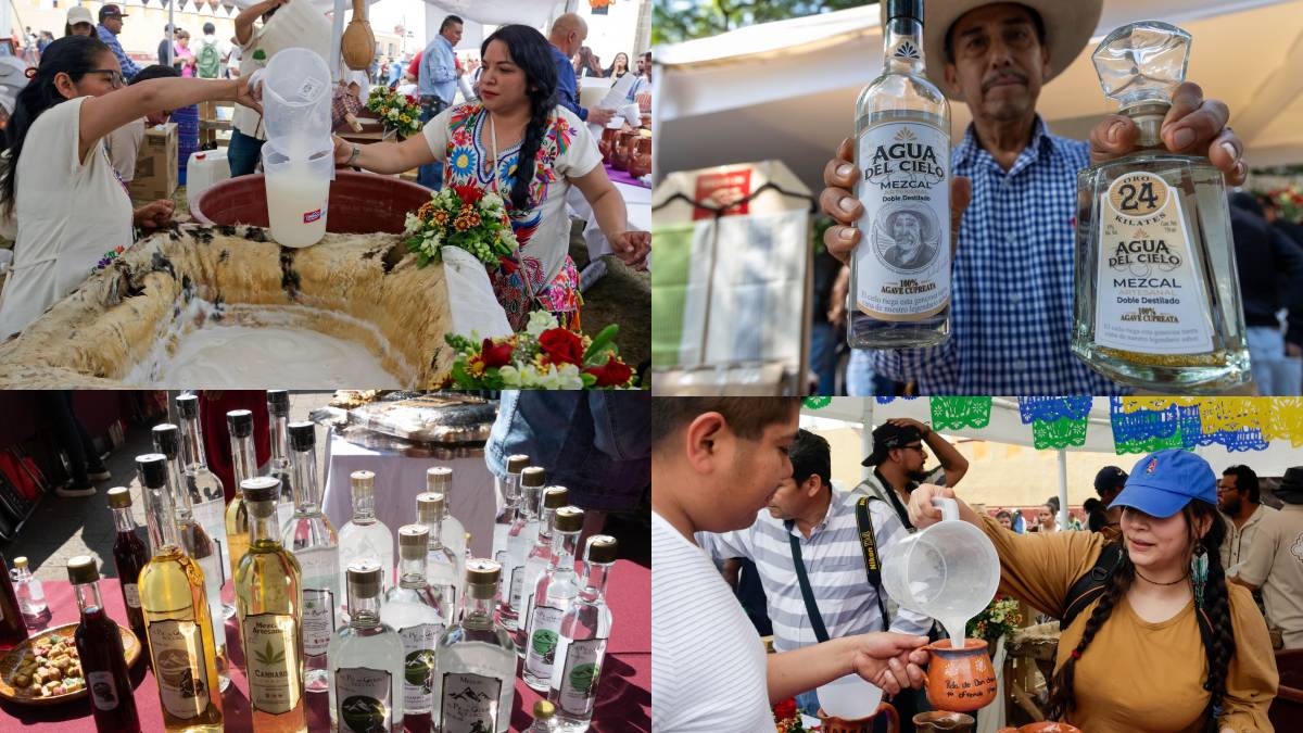Tres fechas, una sola pasión: así será el Festival del Pulque y Mezcal ...