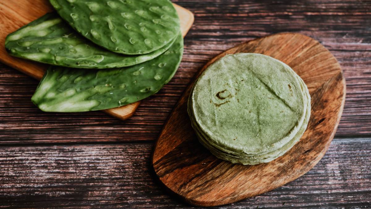 Receta fácil para hacer tortillas de nopal en casa: ingredientes y ...