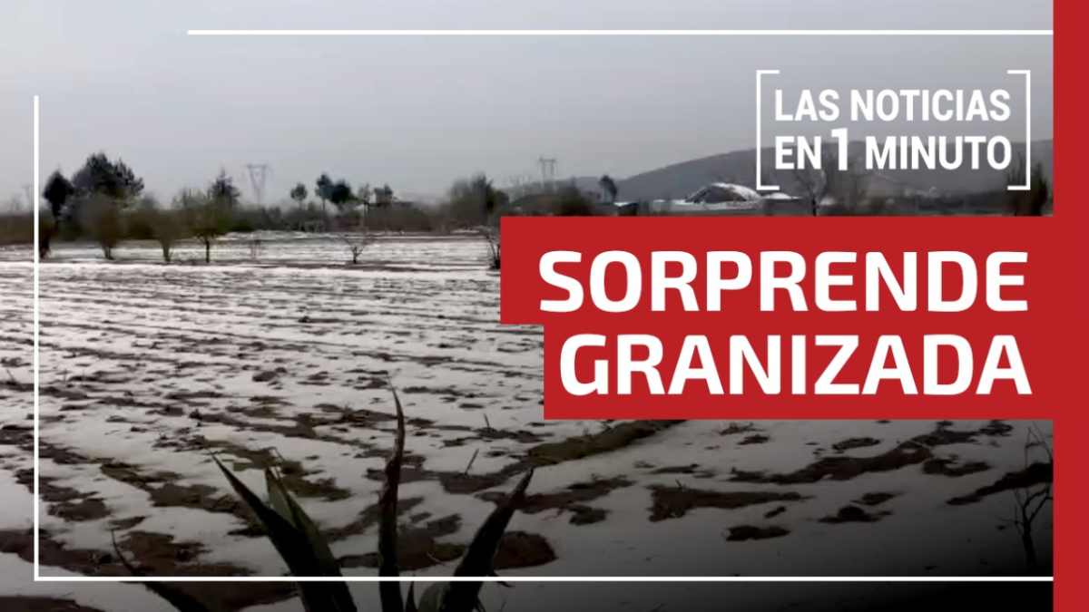 Noticias de hoy 6 de marzo de 2026, en un minuto, hasta las 19:00 horas ...
