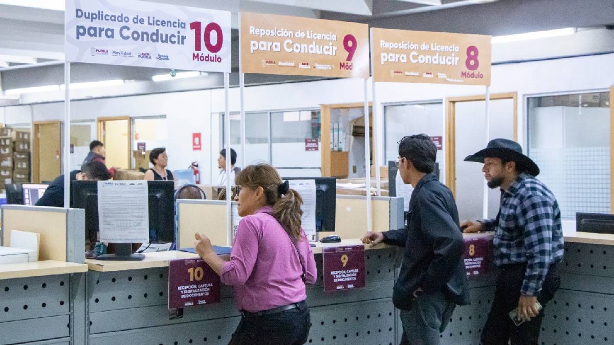 Licencia de conducir en Puebla: qué incluye la nueva guía para el ...